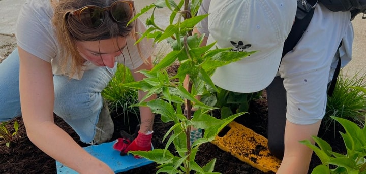 Office for Socially Engaged Practice - Sam Fox School of Design ...