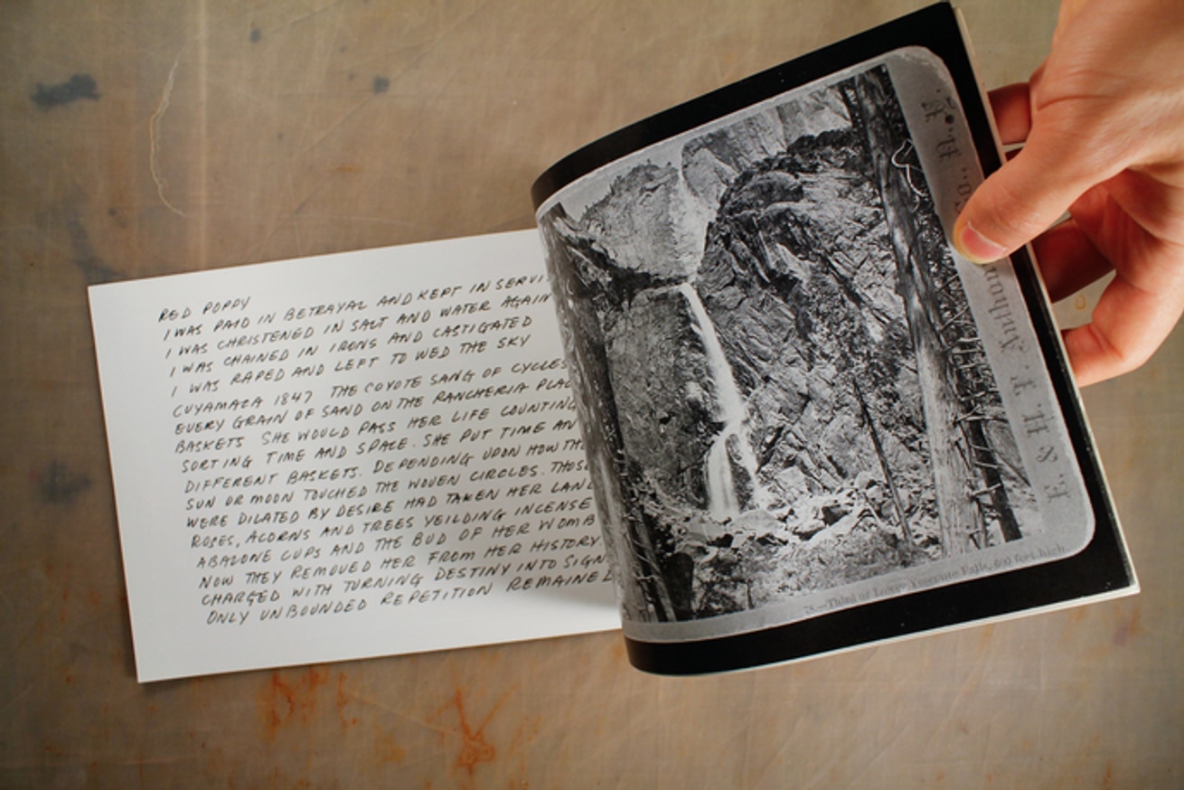 Michelle Stuart - The Fall - Printed Matter