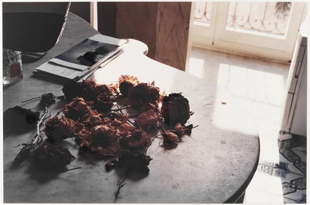 Home - The Menil Collection