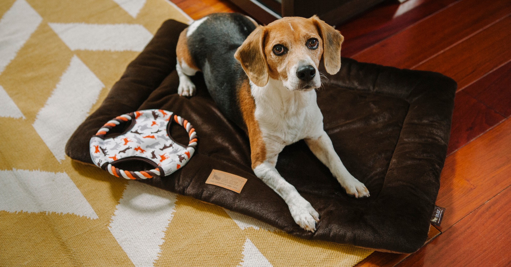 Cocoa Chill Pad | Dogly