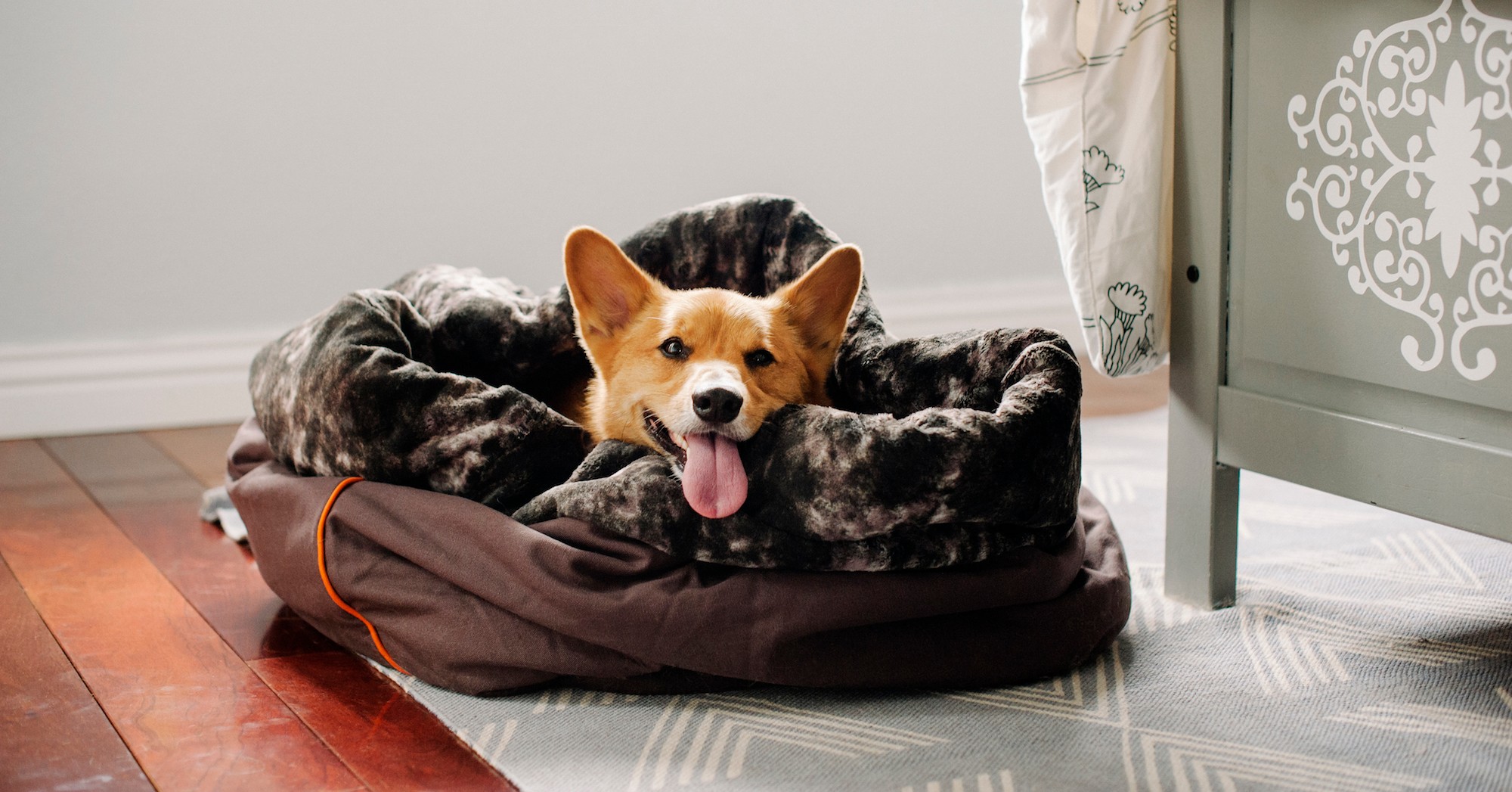 Charcoal Snuggle Bed | Dogly