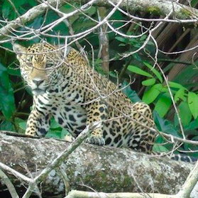 Ivan Swart's datasets | page 1 | data.world