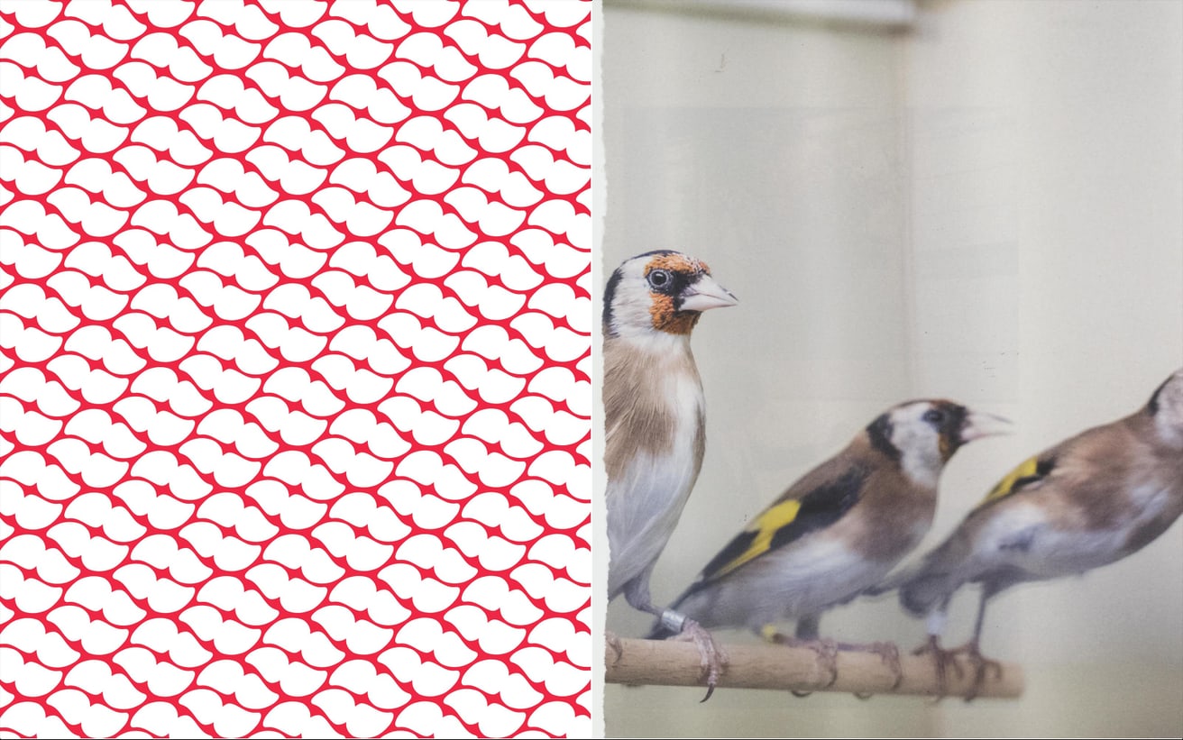 Sarah Crowner - Patterns - Printed Matter