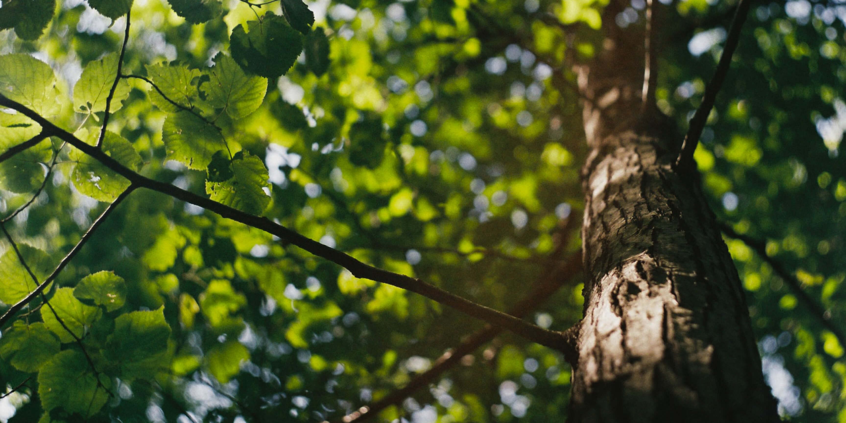 South Coast Terminals | Platform Partners Job Board