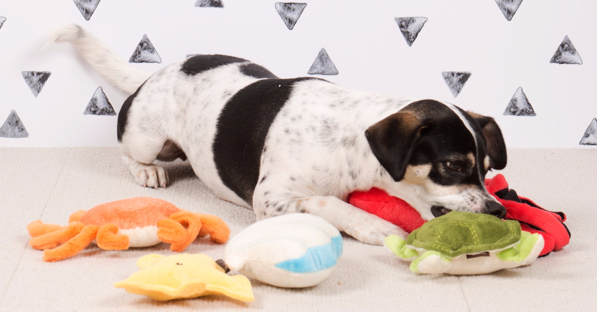 Under the Sea Plush Toy Set | Dogly