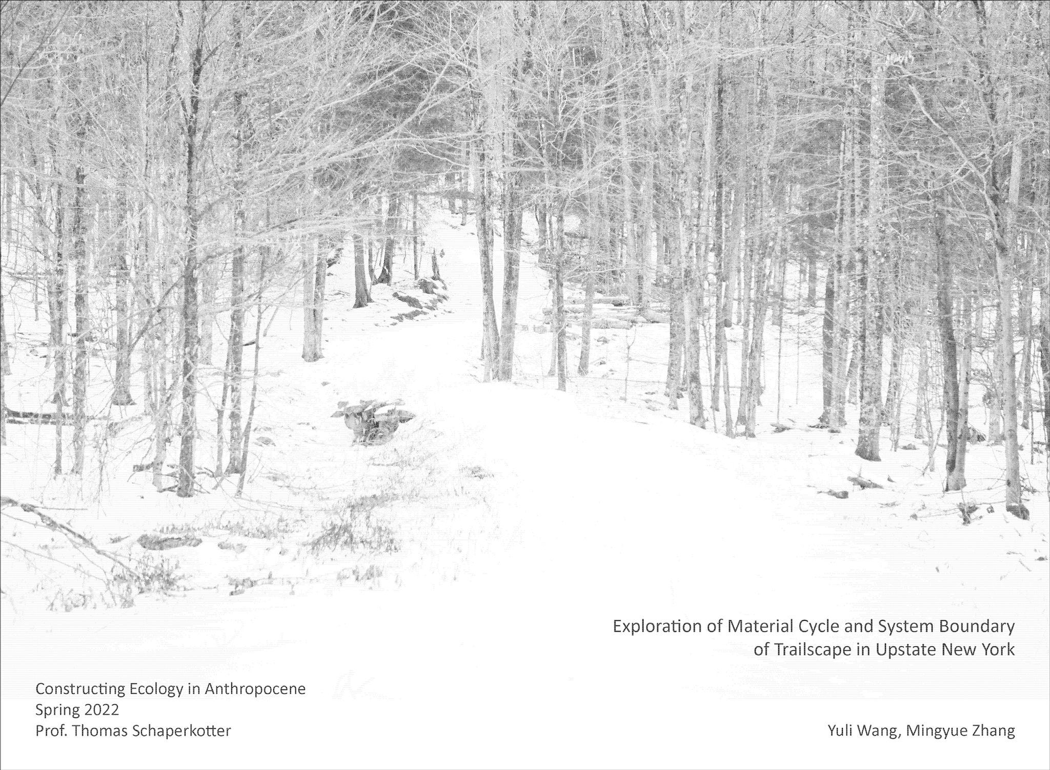 Student Work - Columbia GSAPP