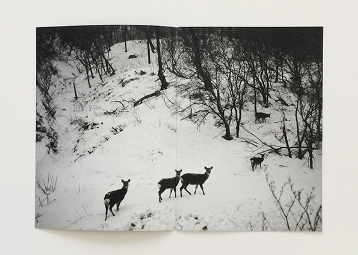 Takashi Homma and Naze - Deer Revenge - Printed Matter