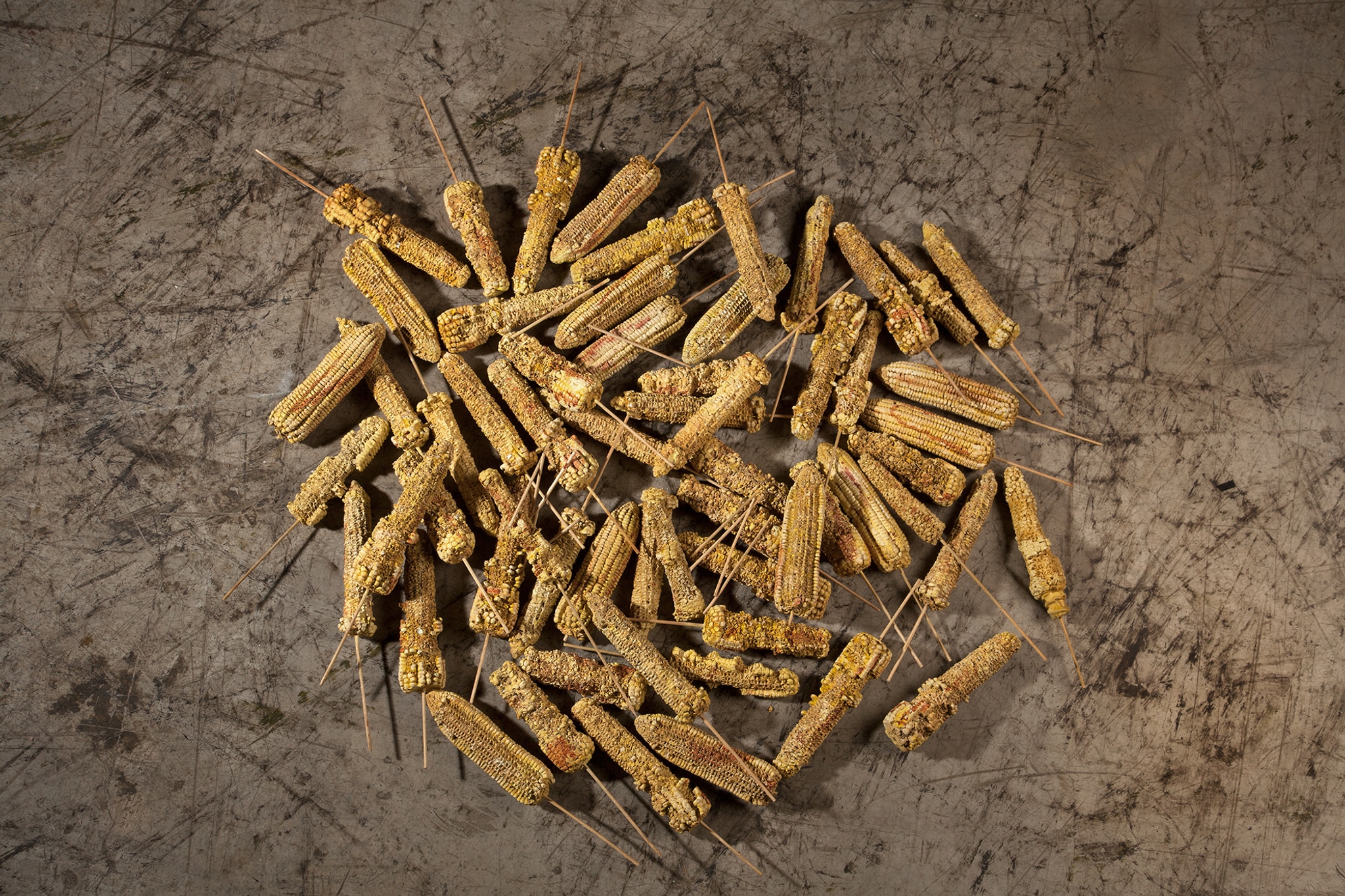 Maíz transgénico [elotes] - Museo Jumex