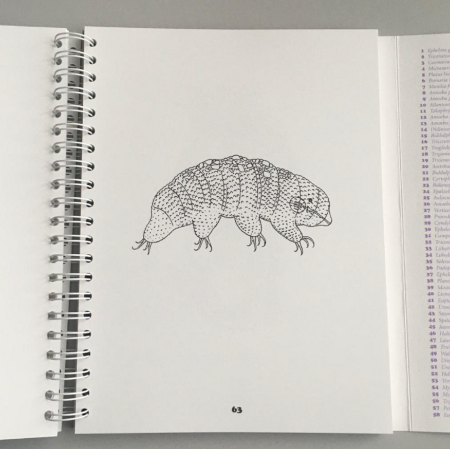 Robin Watkins and Nina Canell - Animalcules Coloring Book - Printed Matter