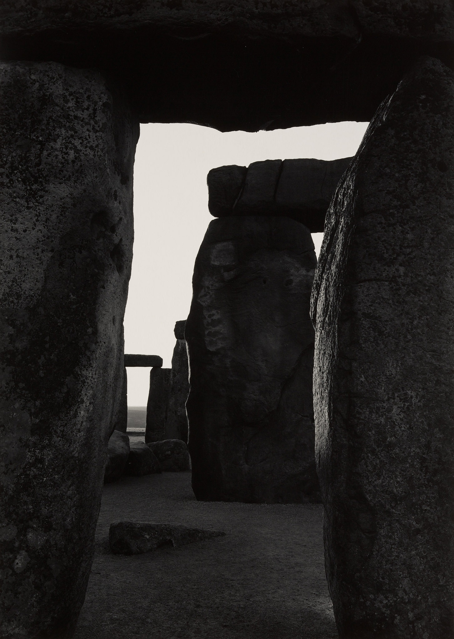 Borrowed Light Selections From The Jack Shear Collection - Tang Museum