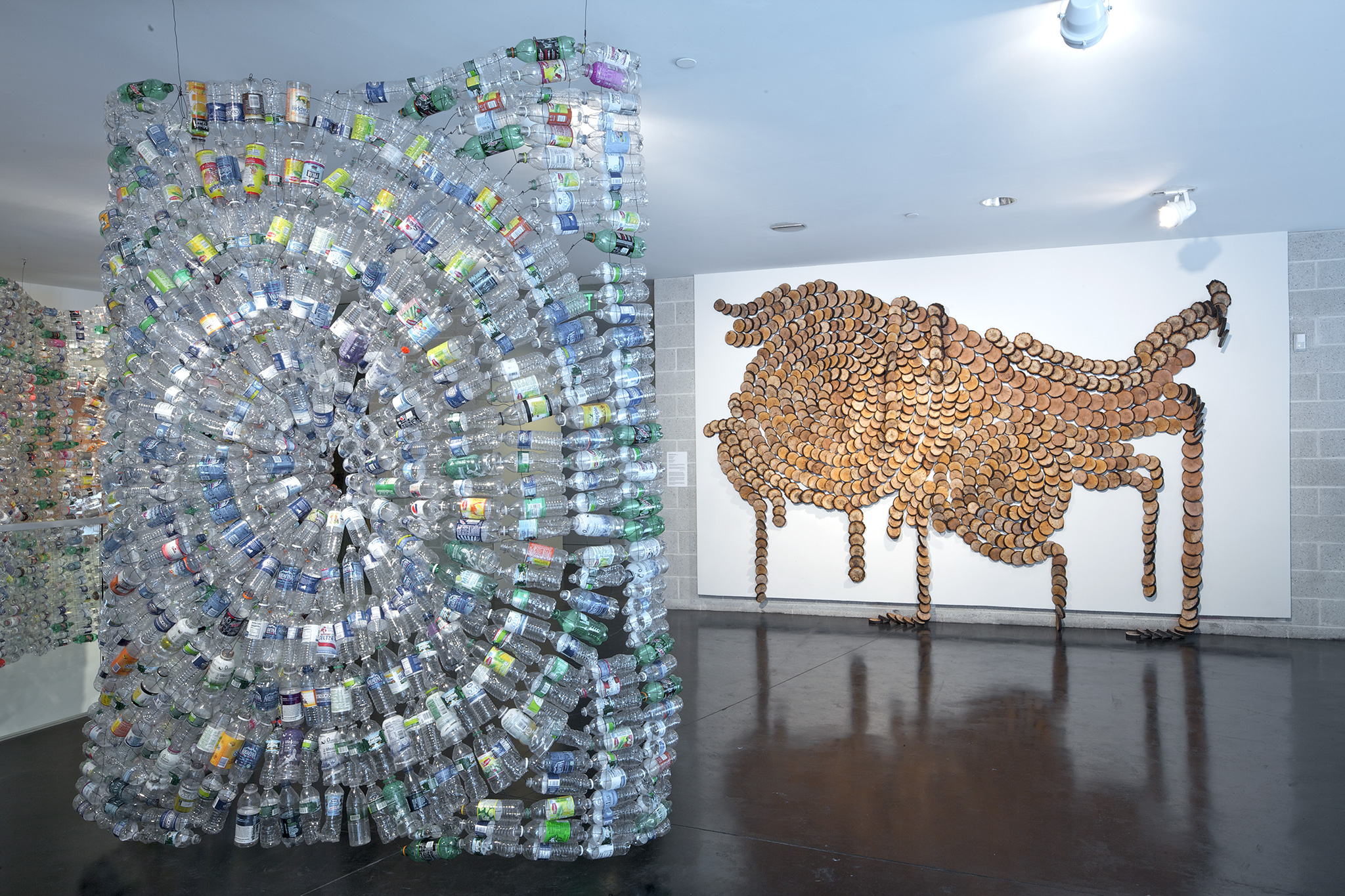 Environment and Object Recent African Art - Tang Teaching Museum