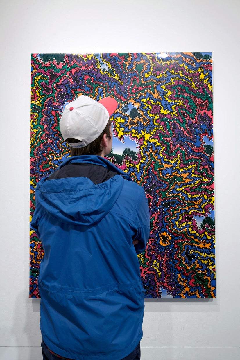 Fred Tomaselli - Tang Teaching Museum