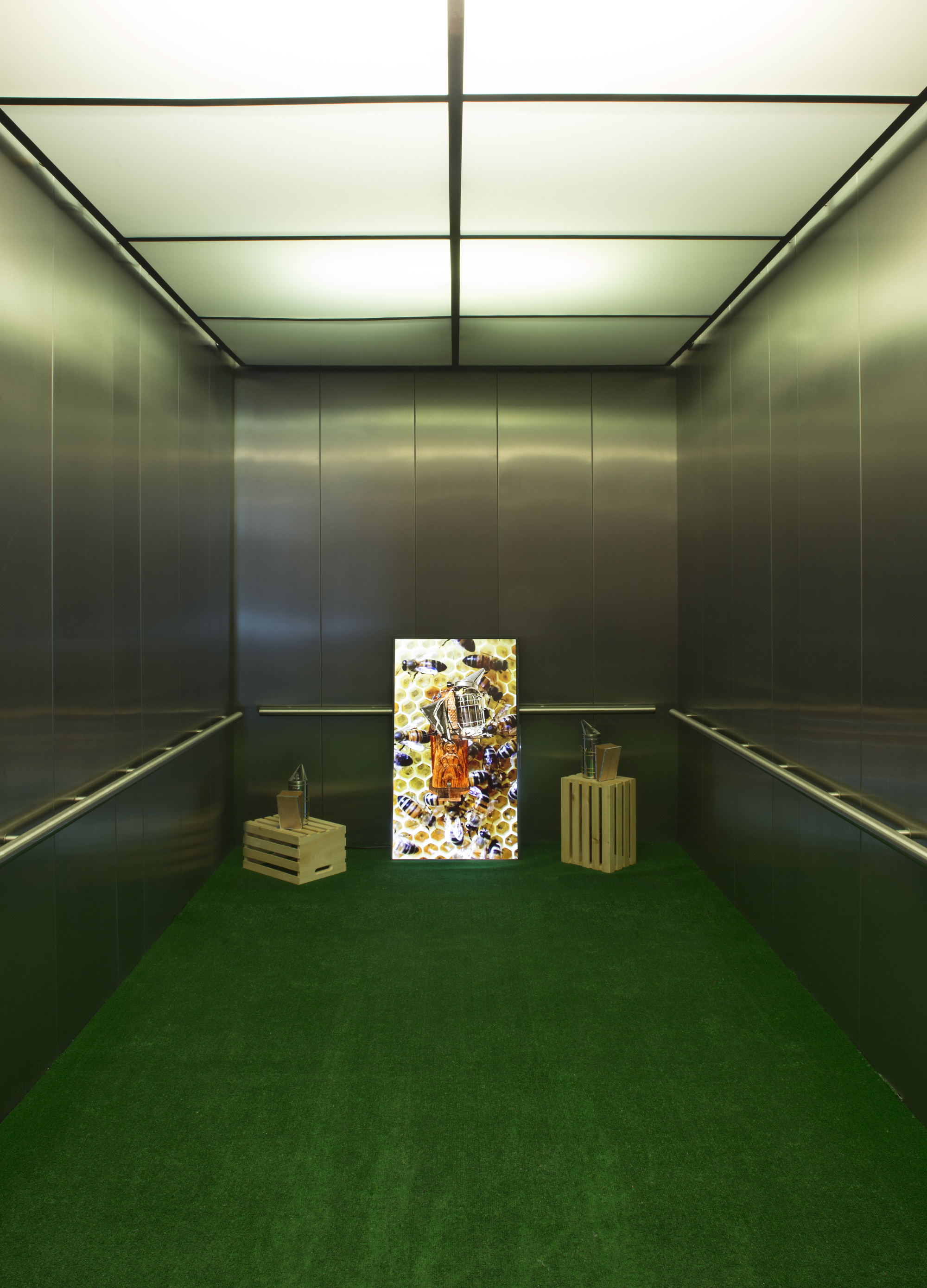 Elevator Music 38: Bioni Samp — Digital Beehive - Tang Teaching Museum