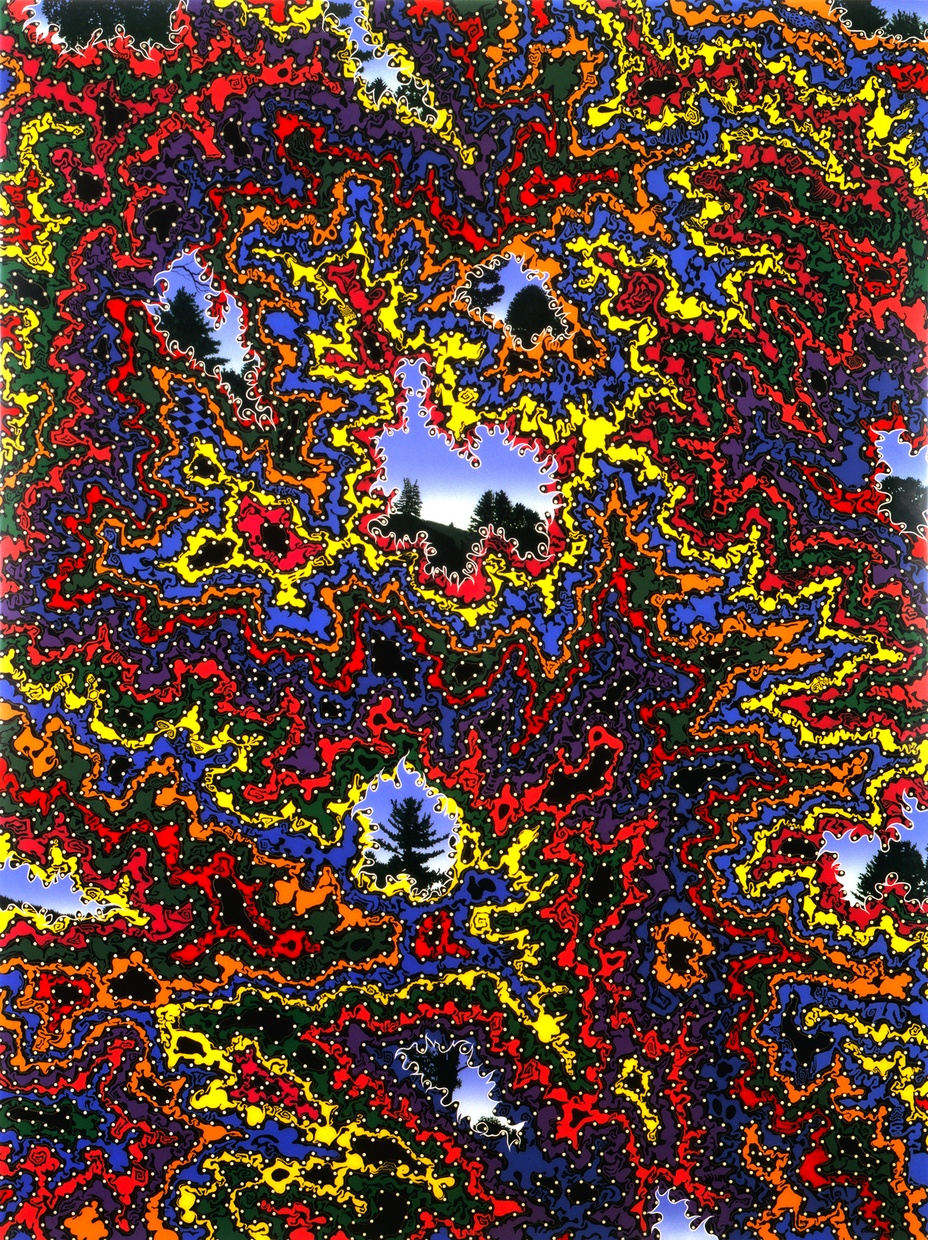 Fred Tomaselli - Tang Teaching Museum