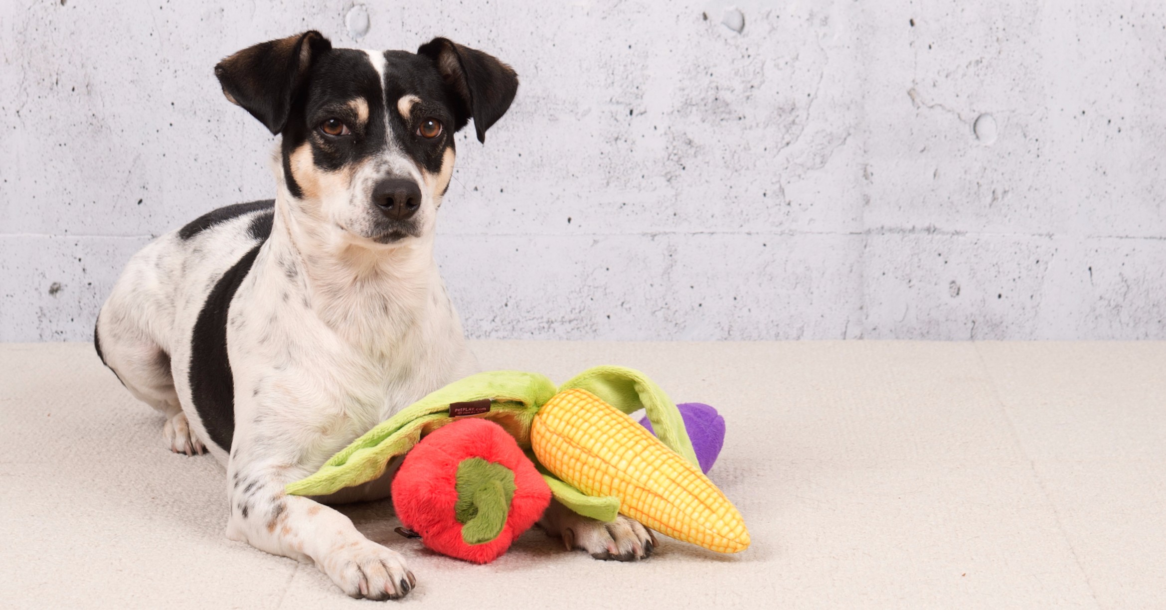 Farm Fresh Plush Toy Set | Dogly