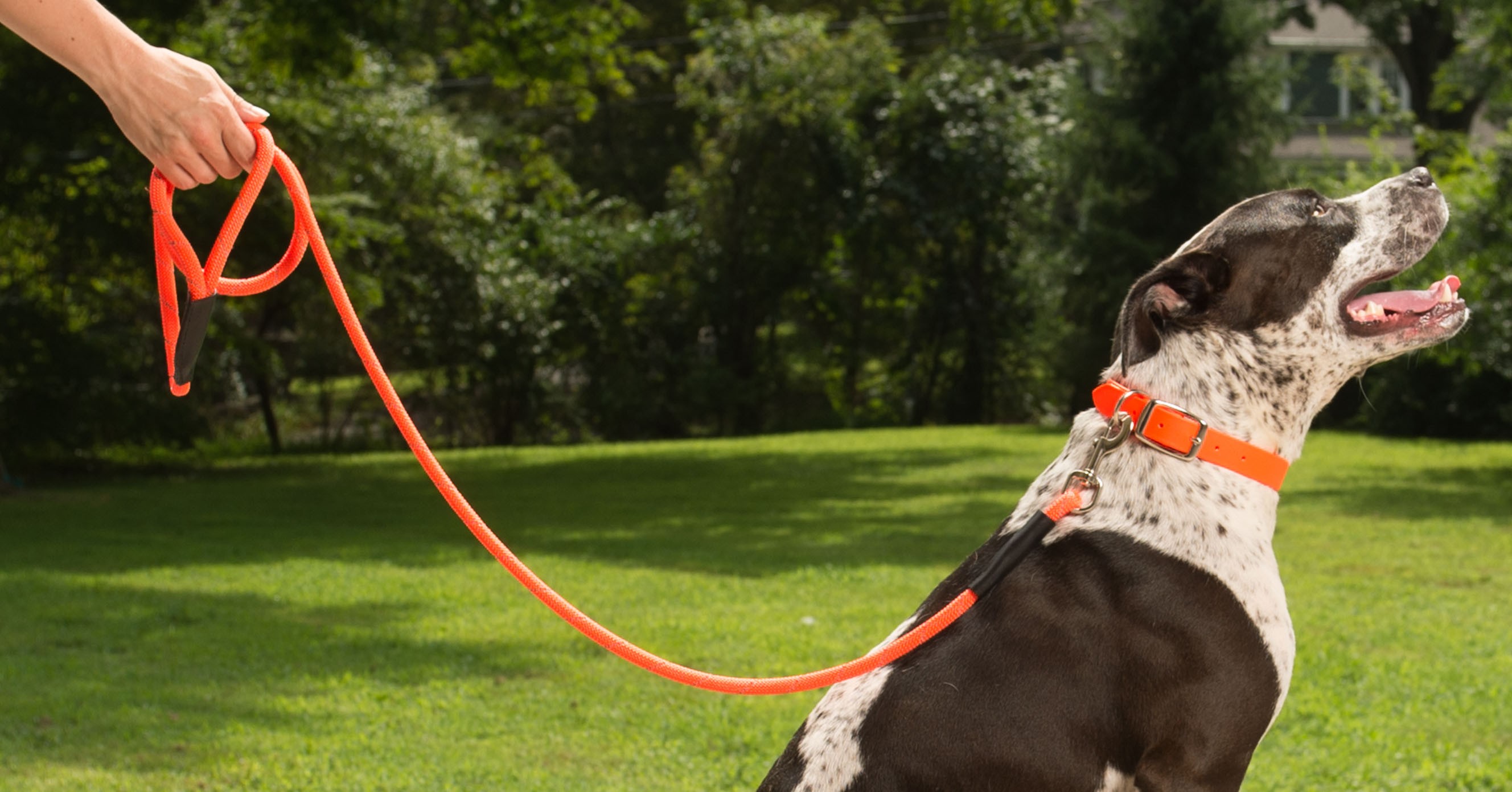 Blue Reflective Rope Leash | Dogly
