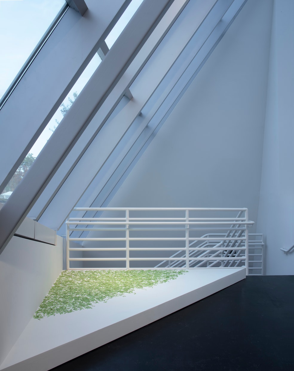 Energy in All Directions - Tang Teaching Museum