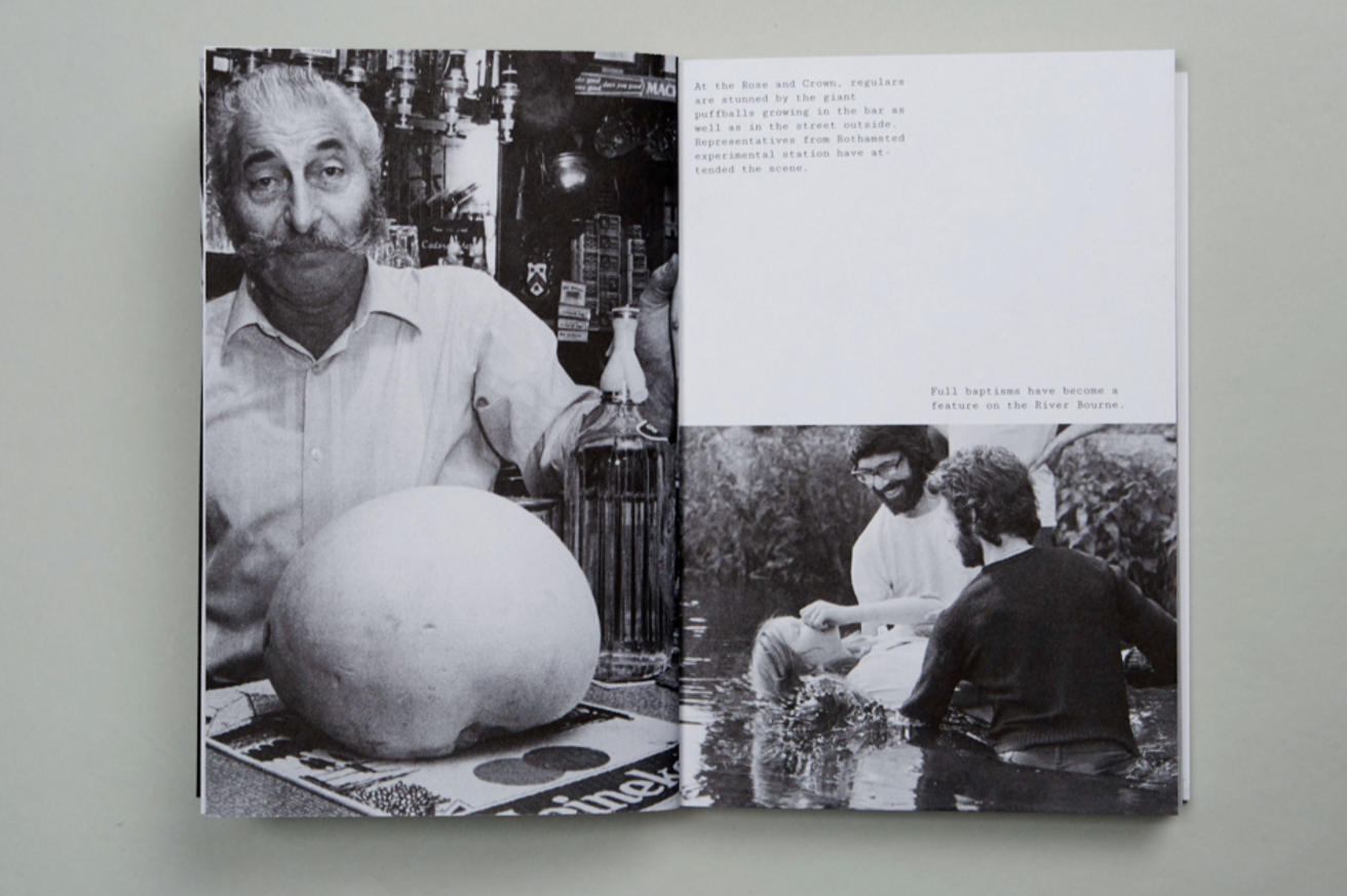 Timothy Prus - The Luton Auguries - Printed Matter