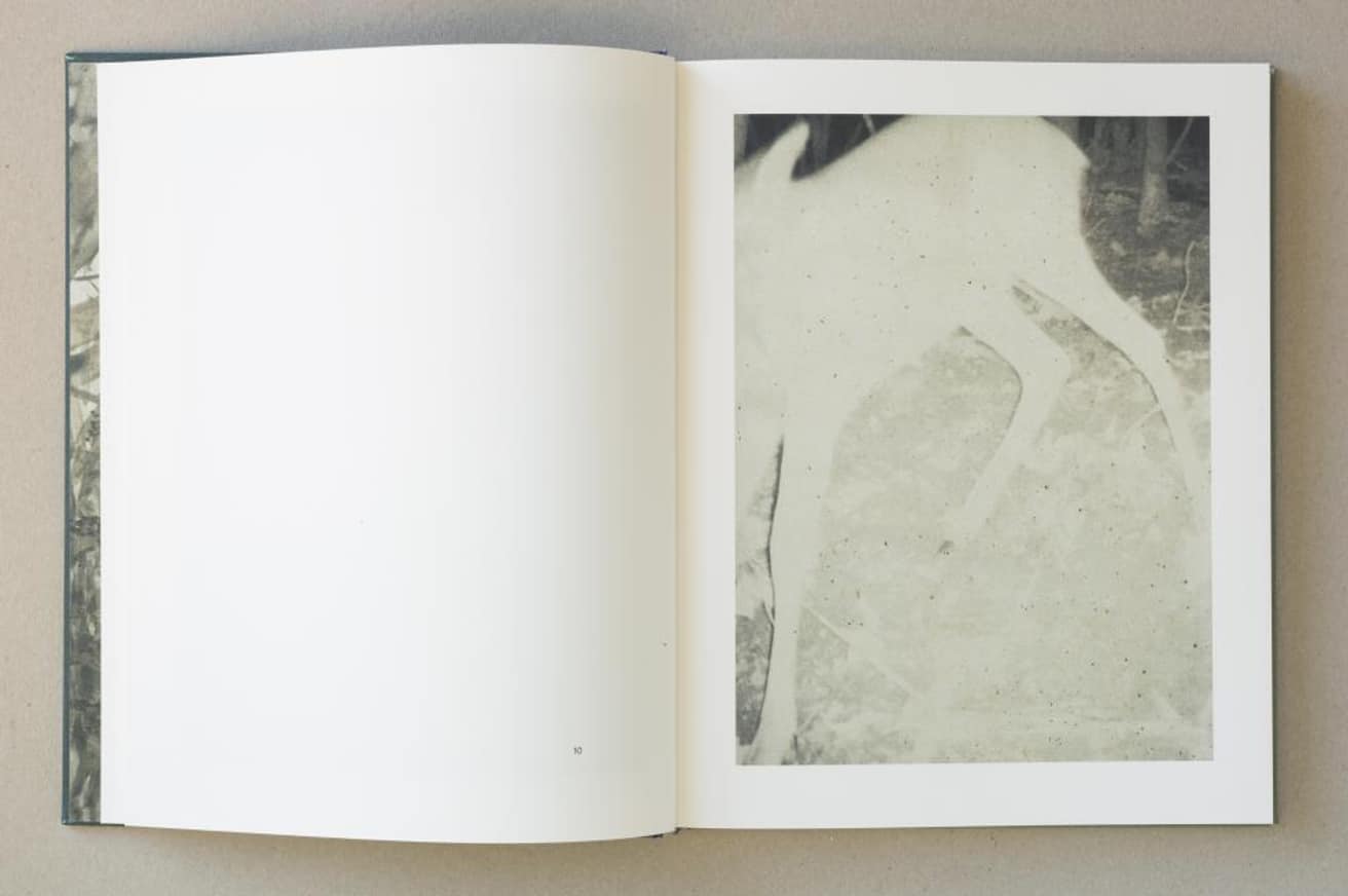 Stephen Gill - Night Procession - Printed Matter