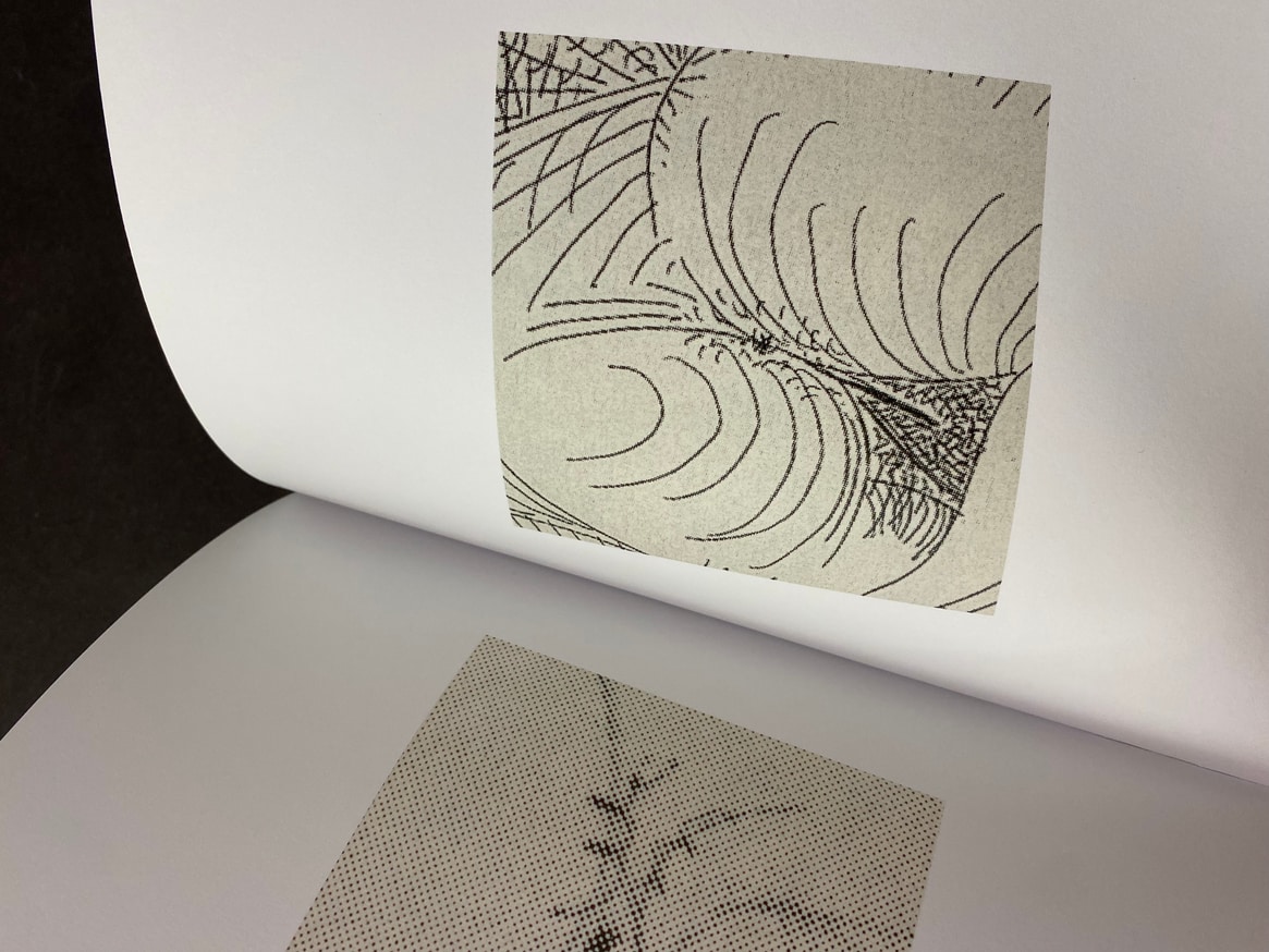 Jonas Kyle - PIcasso's Assholes - Printed Matter