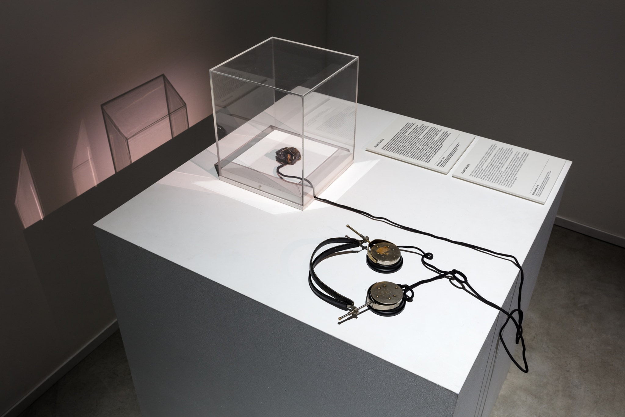 Particular Matter(s) Exhibition Guide - The Shed