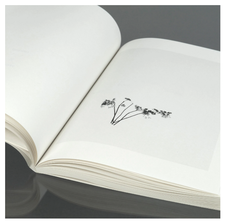 Catalog - Printed Matter