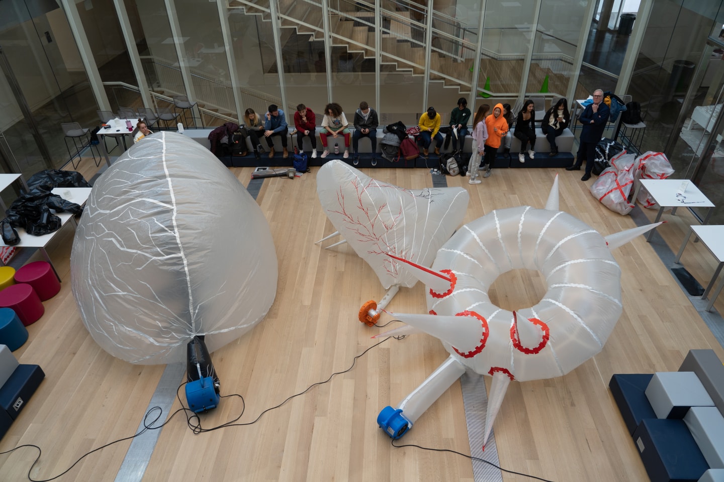 Inflatable Sculptures - Sam Fox School of Design & Visual Arts ...
