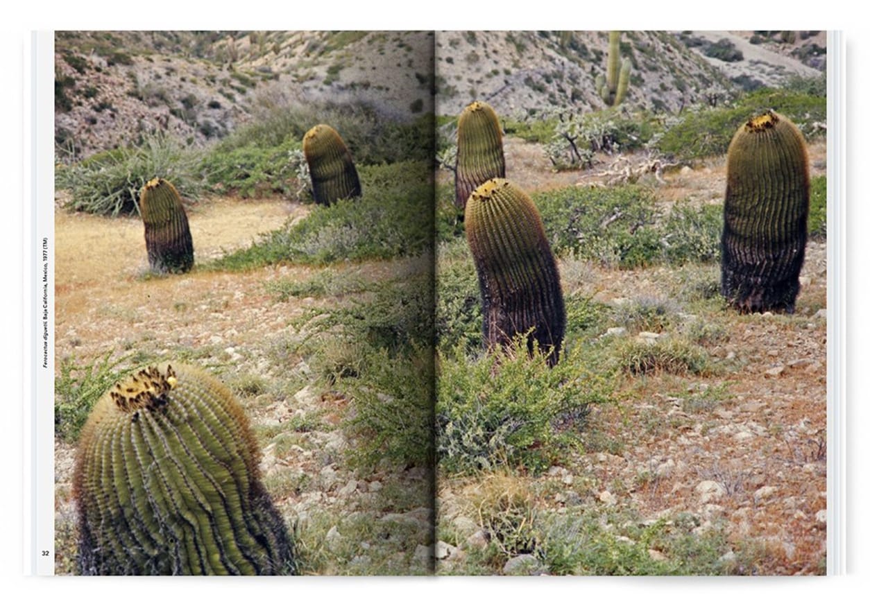 Cactus Store, editors - Xerophile: Cactus Photographs from Expeditions ...