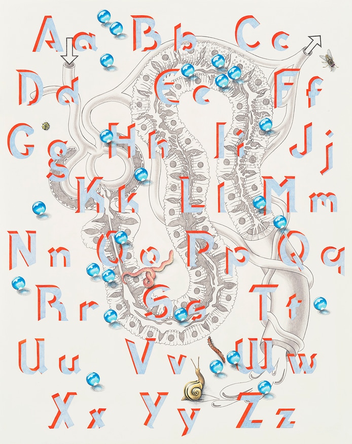 Caitlin Keogh - Alphabet, 2019 - Printed Matter