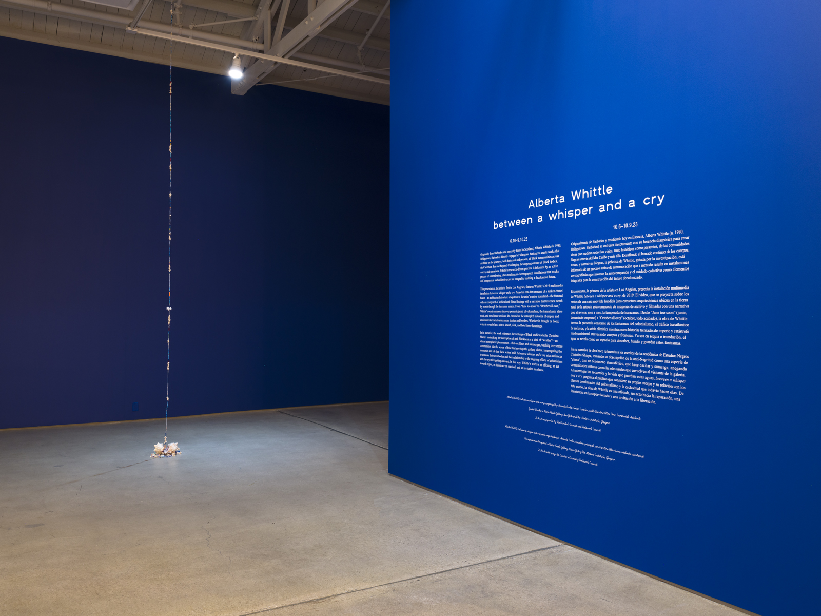 Alberta Whittle Between A Whisper And A Cry - Institute of Contemporary ...