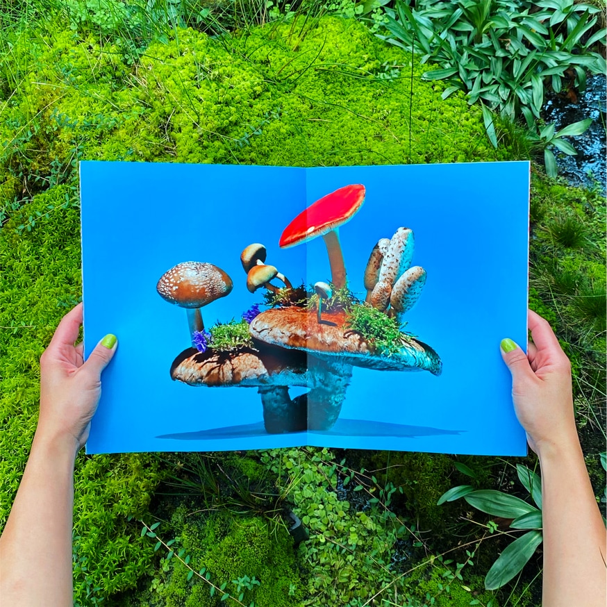 Phyllis Ma - Mushrooms & Friends 2 - Printed Matter