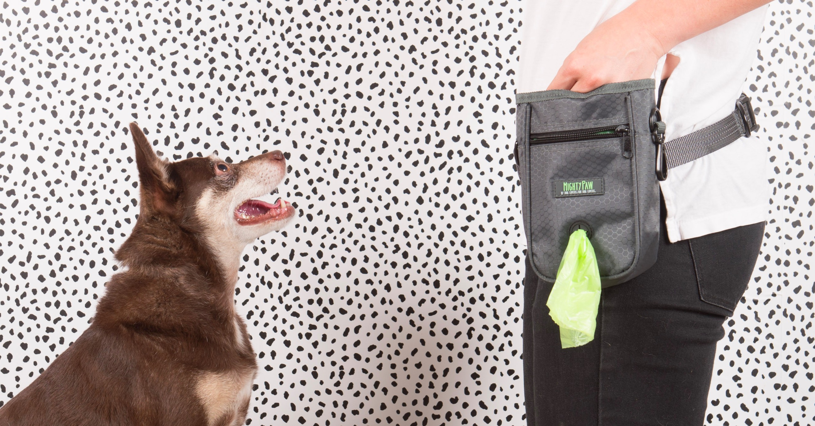 Treat Pouch | Dogly