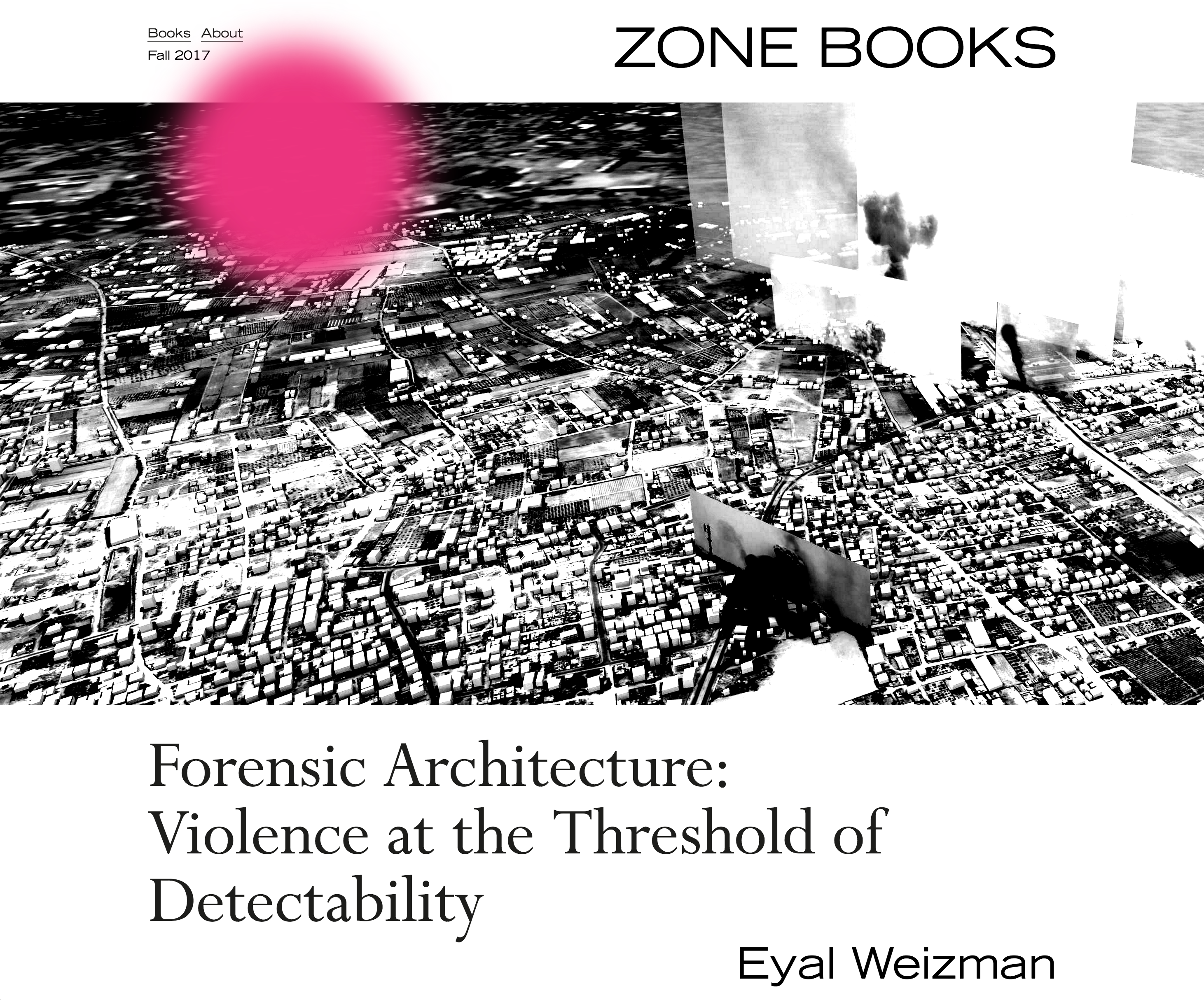 Zone Books - Linked by Air