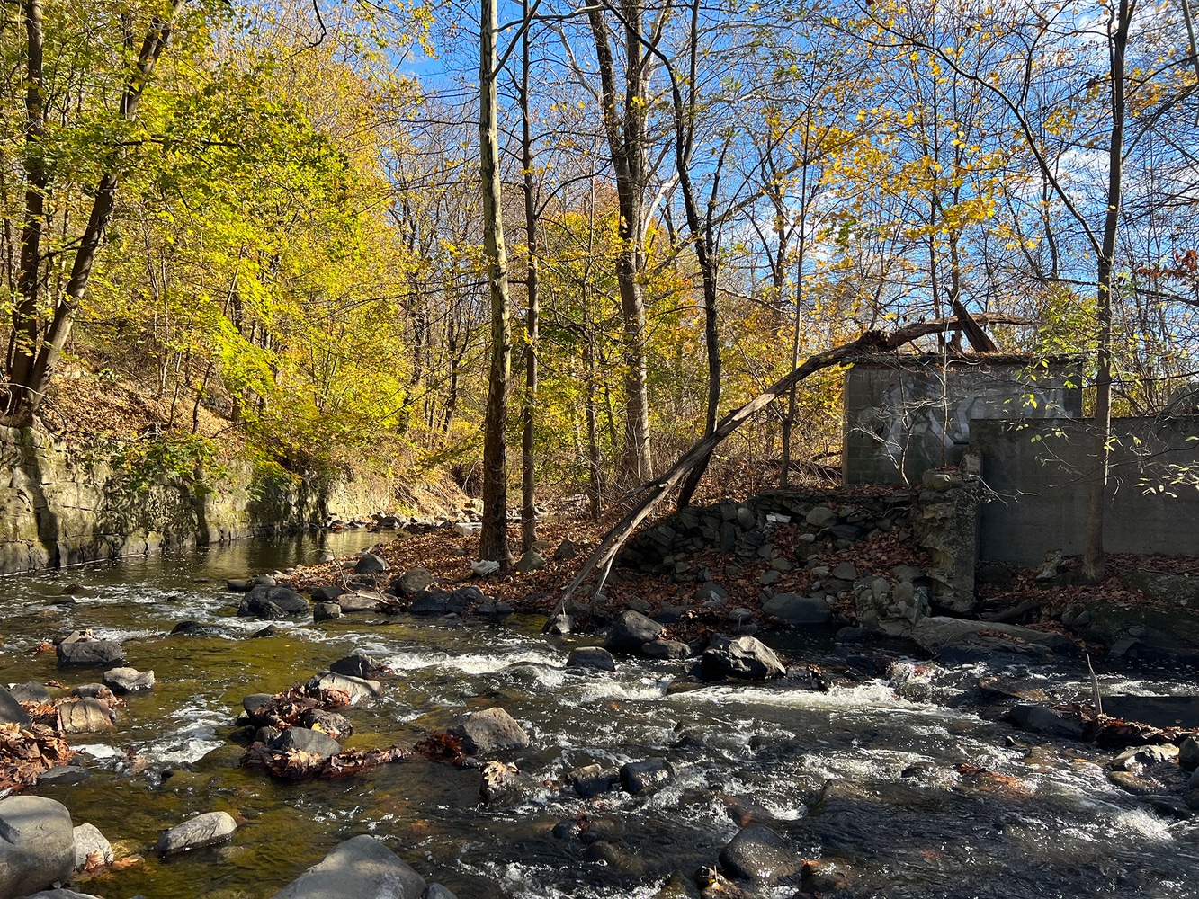 Strategies for Implementing Large Scale Public Projects - Columbia GSAPP