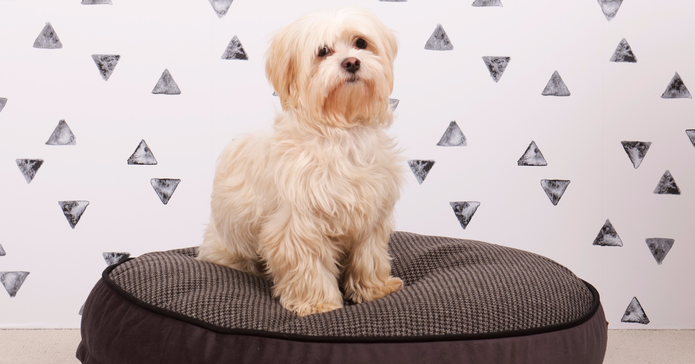 Houndstooth Bed | Dogly