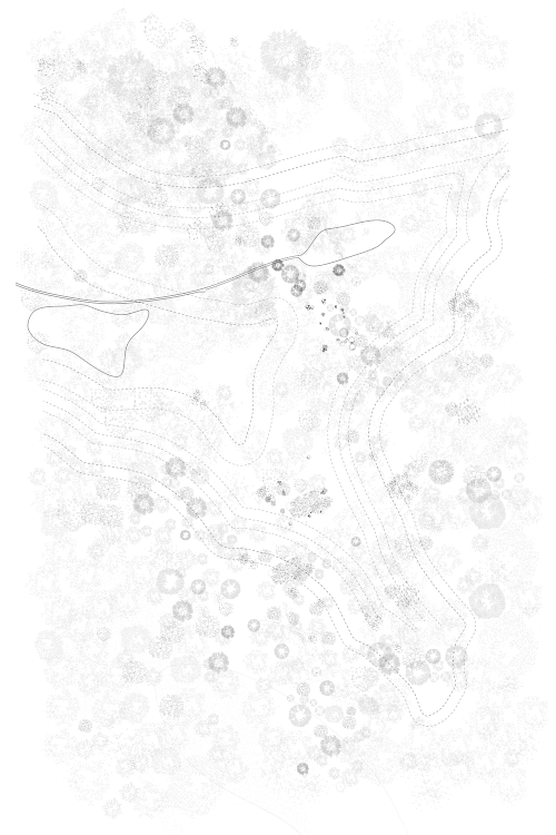 Architecture Advanced Iv - Columbia GSAPP