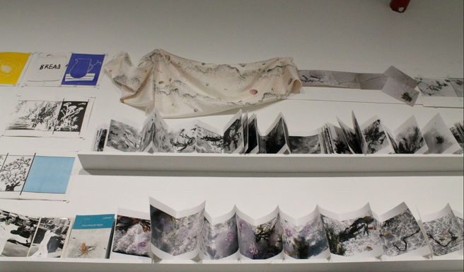 WEPRODUCTIONS: Telfer Stokes * Helen Douglas - Printed Matter